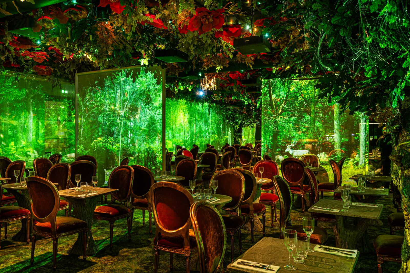 L'Atoll Angers - Wonderwoods